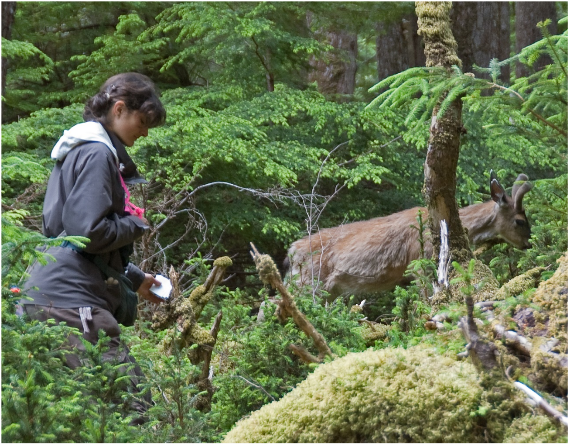 Le risque de prédation et ses conséquences sur la végétation et les ...